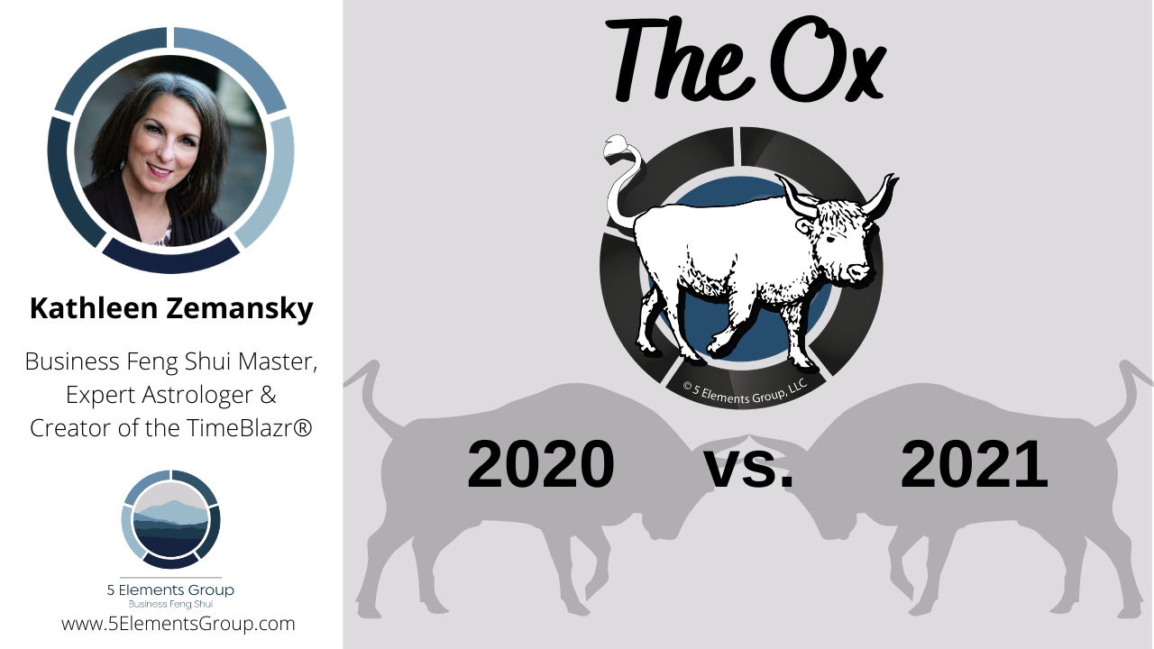 The Ox - 2021 Animal Astrology Forecast - 5 Elements Group